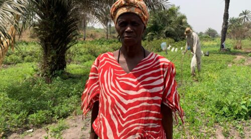 Farmer Focus; Salamatu Kamara - SHARP Sierra Leone
